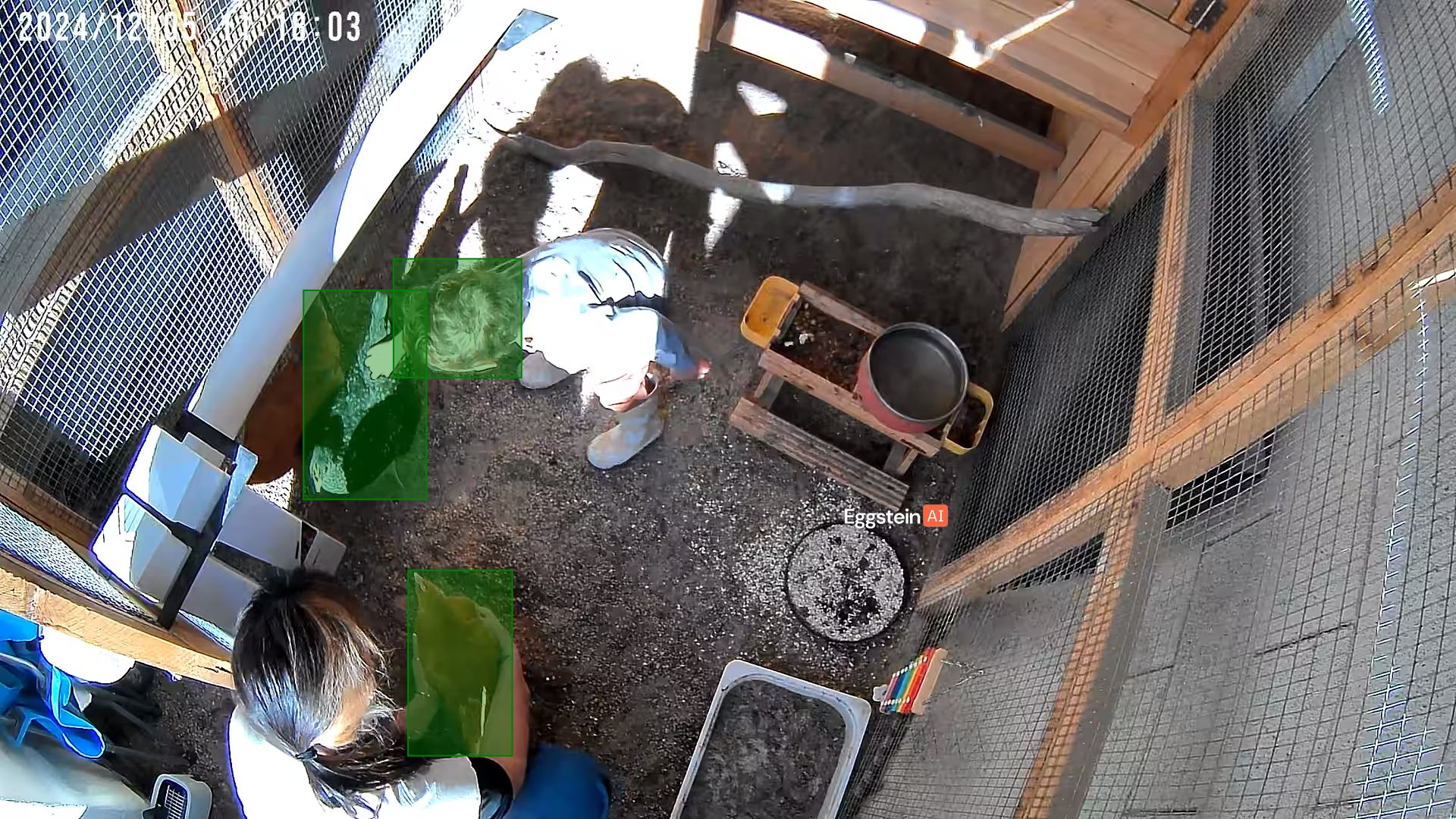 Chicken snuggles - Jax L. shared a Coop Moment