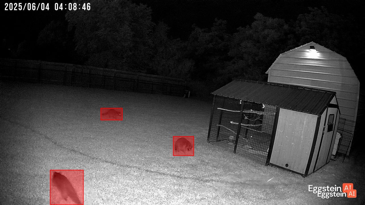 Predators - @jmaddox76 shared a Coop Moment