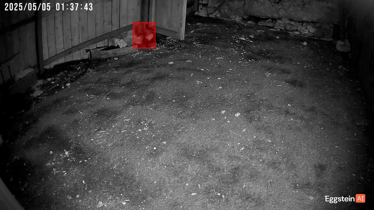 Motion detected - "Motion" alert shared by Jordan 🐔.