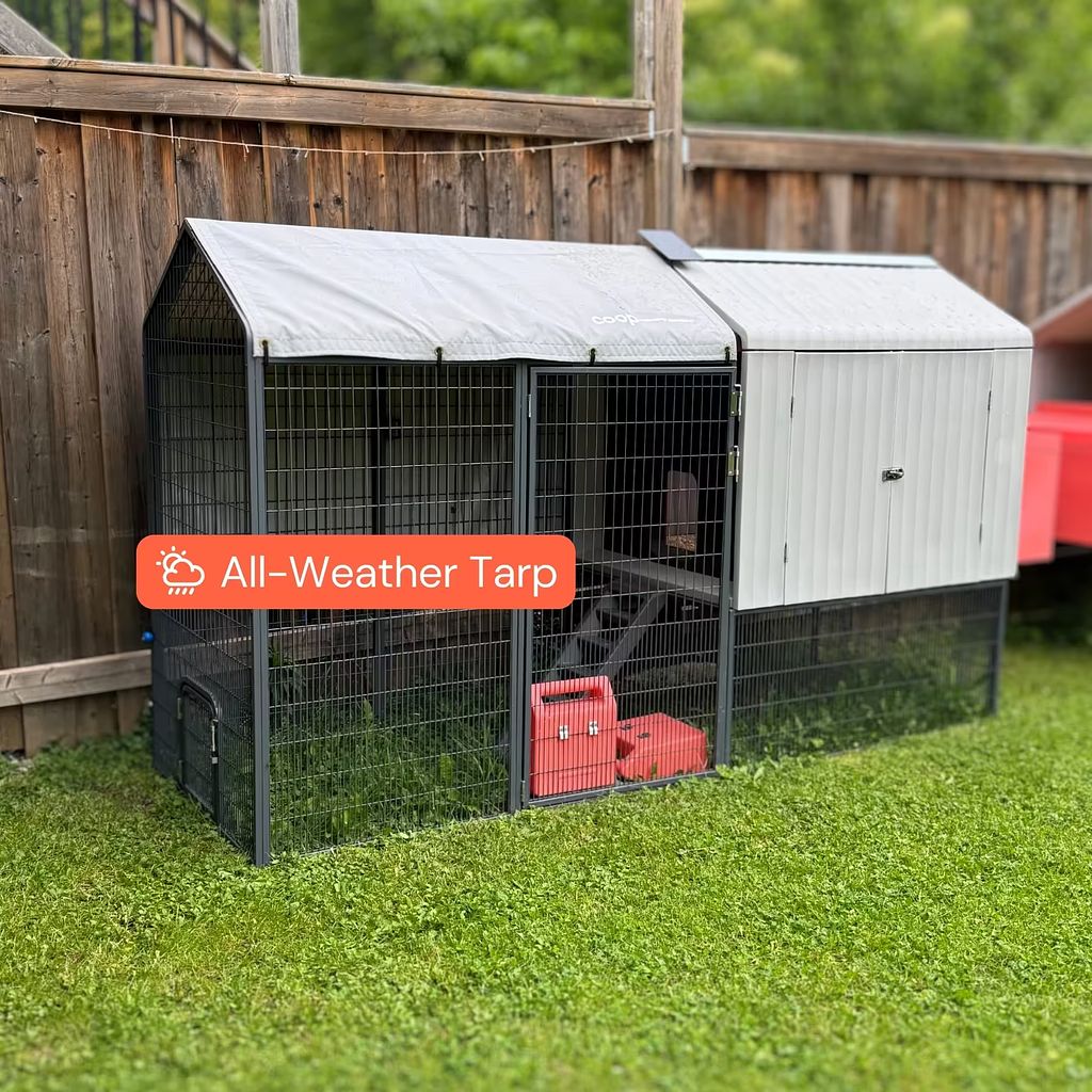 All-Weather Coop Tarp - The Smart Coop